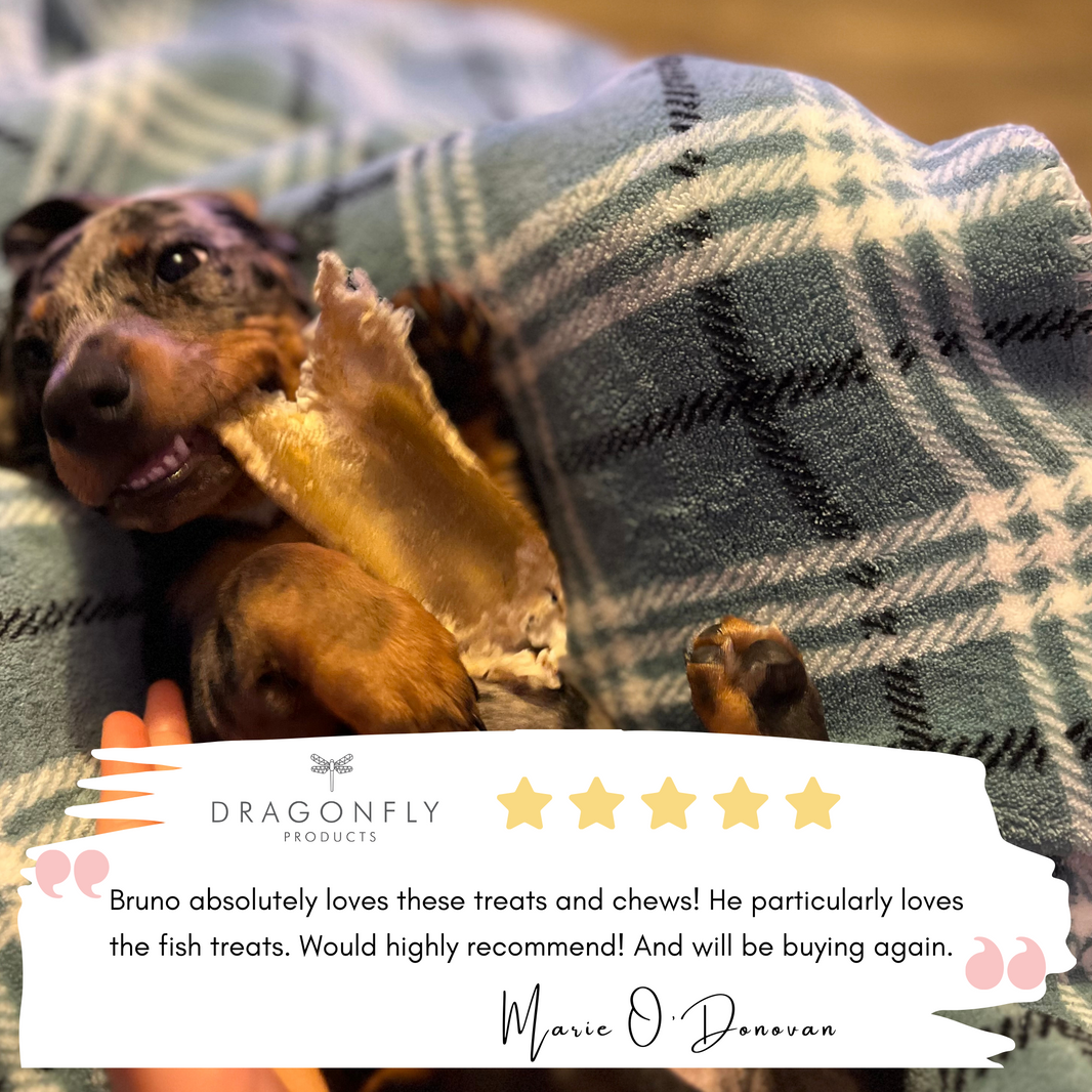 Natural Dog Treats and Chews | Dragonfly Products