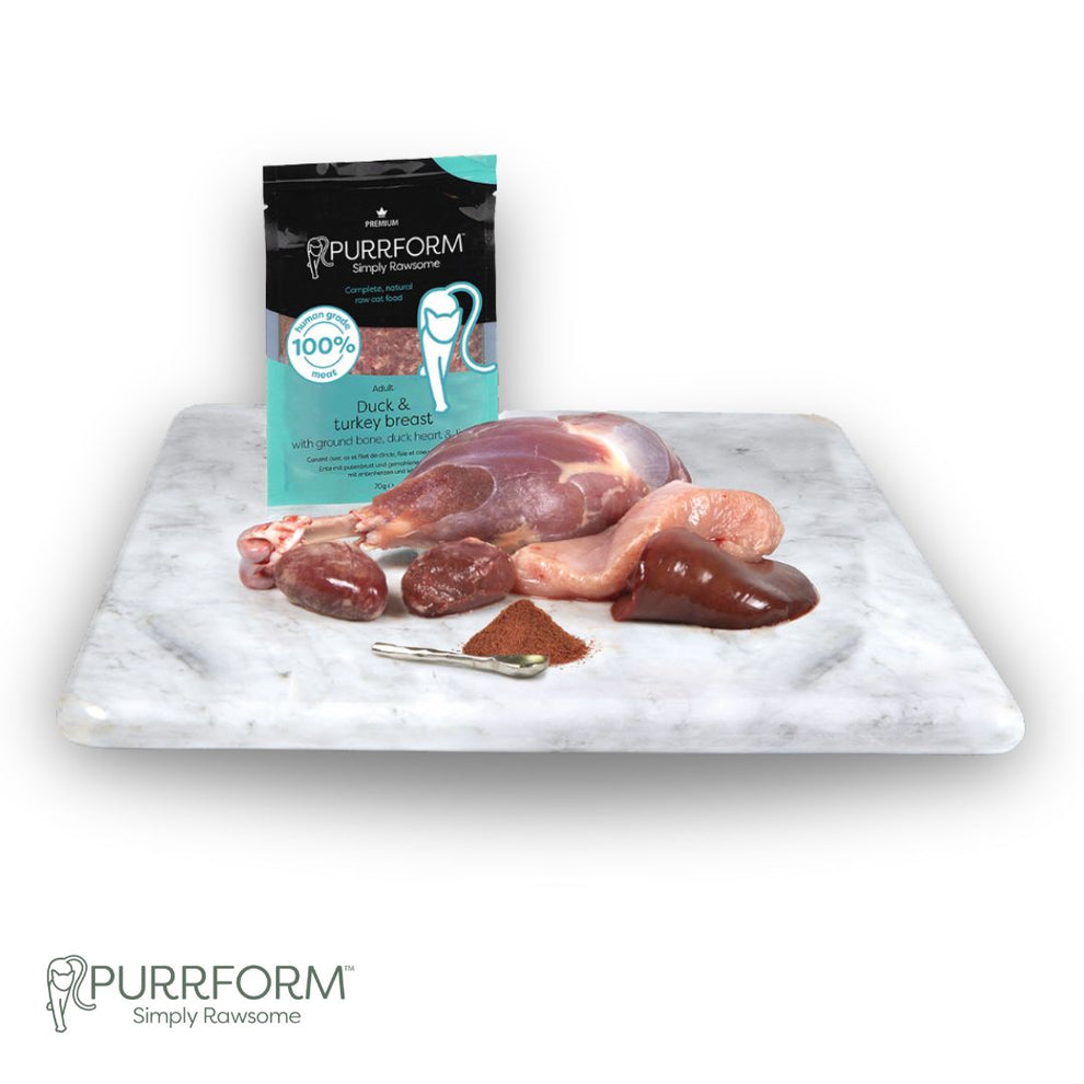 PurrForm Duck with Turkey Raw Cat Food | Dragonfly Products