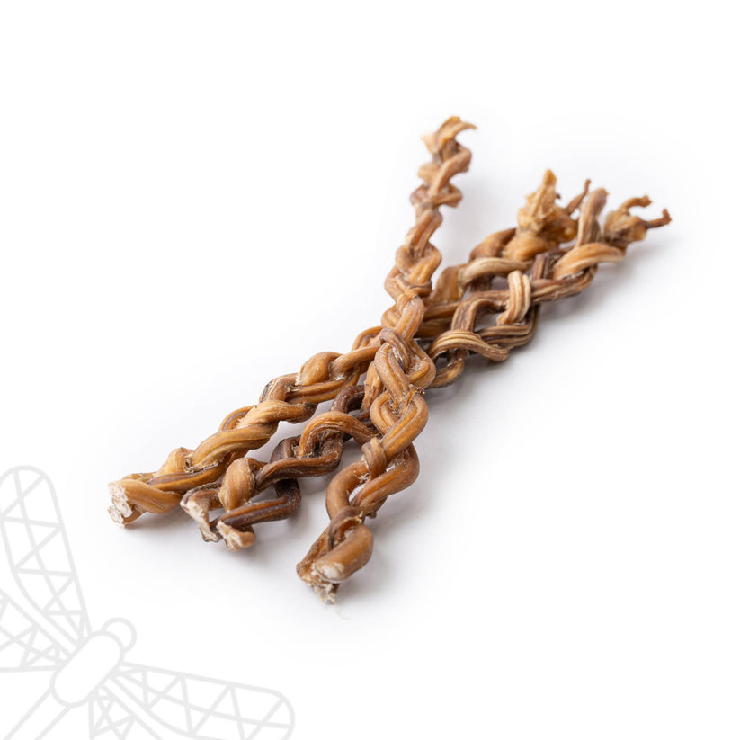 Braided Lamb Pizzle for Dogs | Long-Lasting Natural Chew – Dragonfly ...
