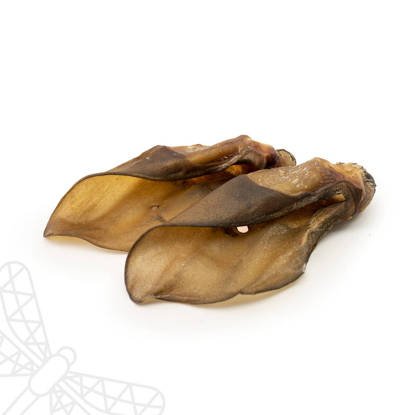 Buffalo Ears Chew for Dogs | Dragonfly Products